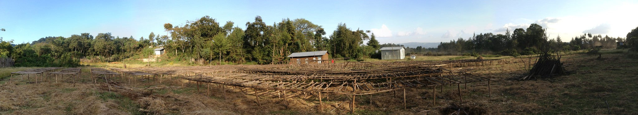 Yukro Visit late 2012 – Coffee Collective