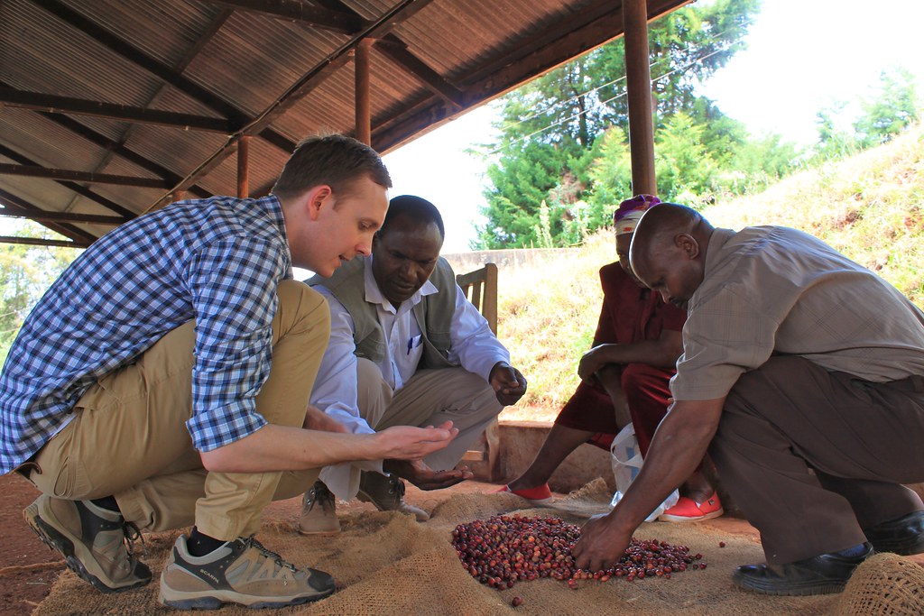 3 Weeks from Kieni – Coffee Collective