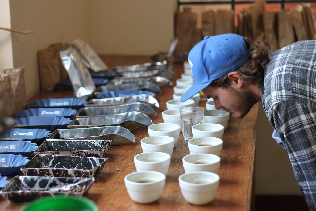 New Crop Kieni – Coffee Collective