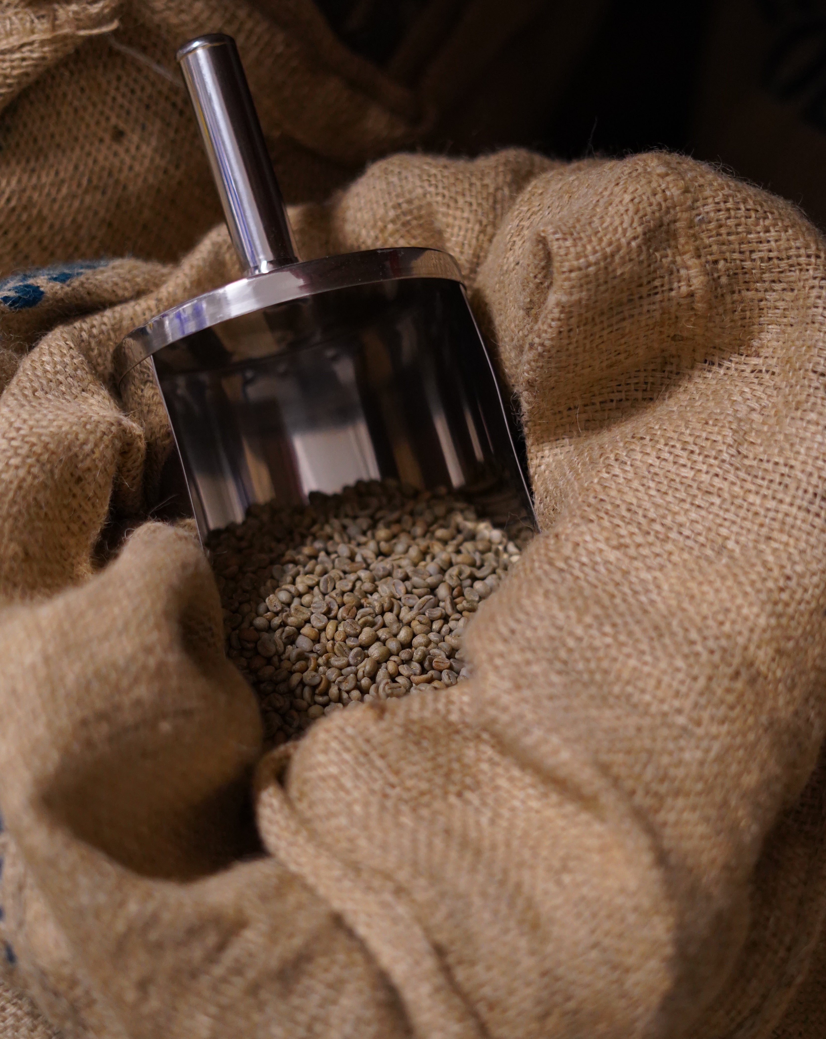 From the first crack to finish | Perfecting the Kieni roast profile ...