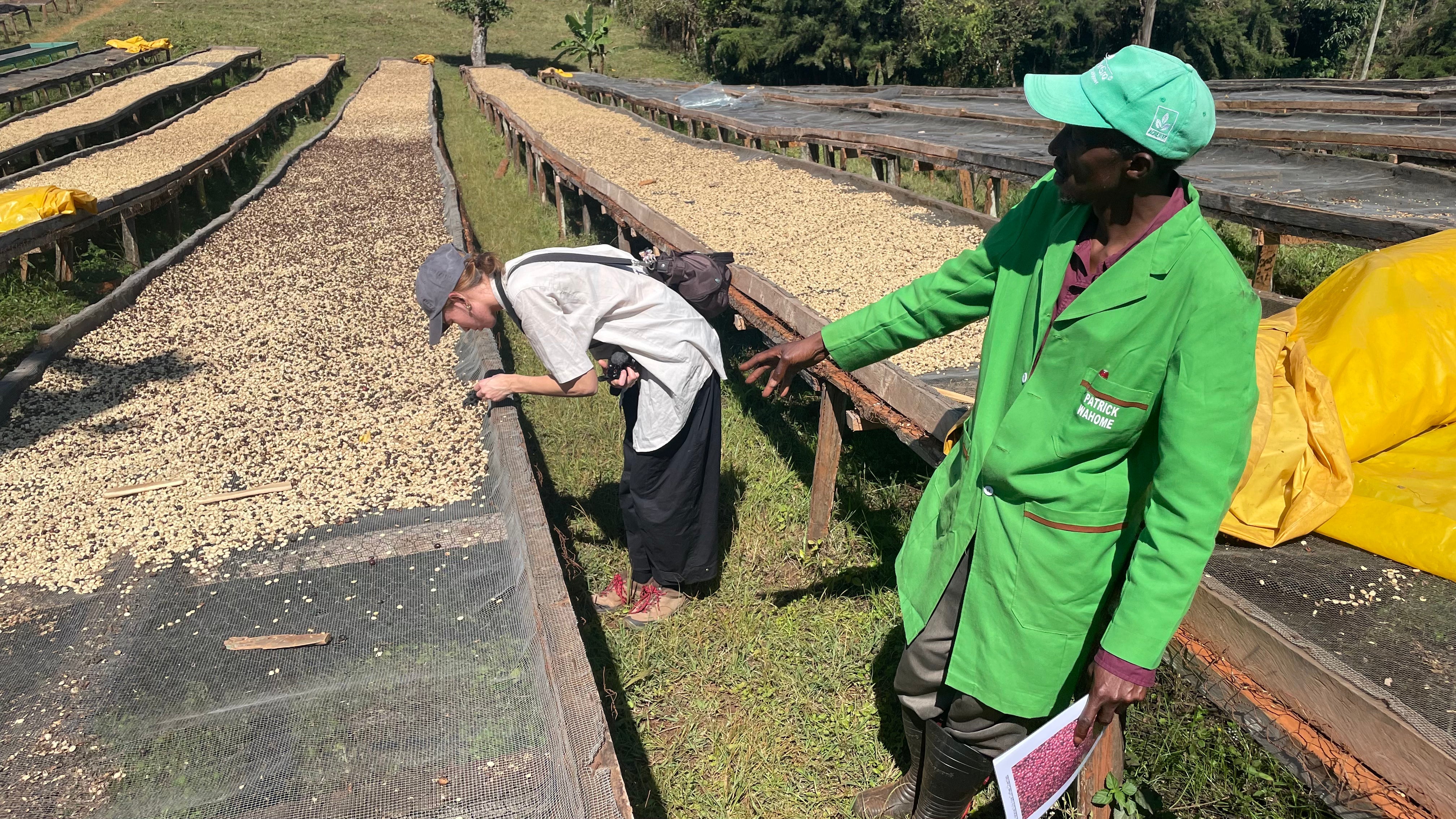 About Us – Coffee Collective